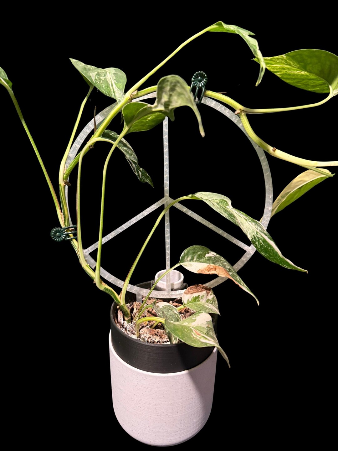 The Peace Seeker | 3D Printed Trellis | Peace Sign Plant Trellis | Hoya ...