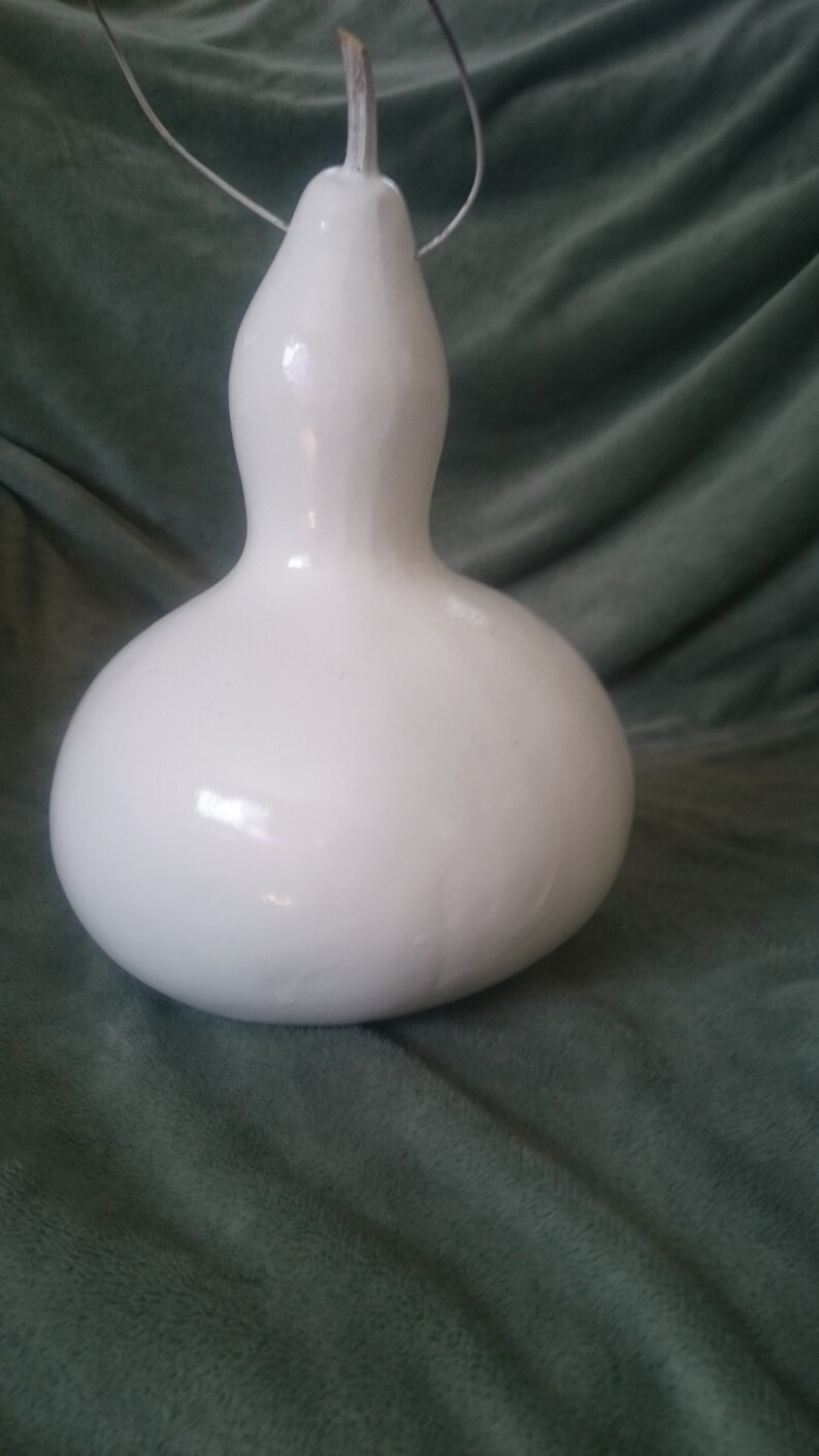 Pastel Pride Gourd Birdhouse - Etsy