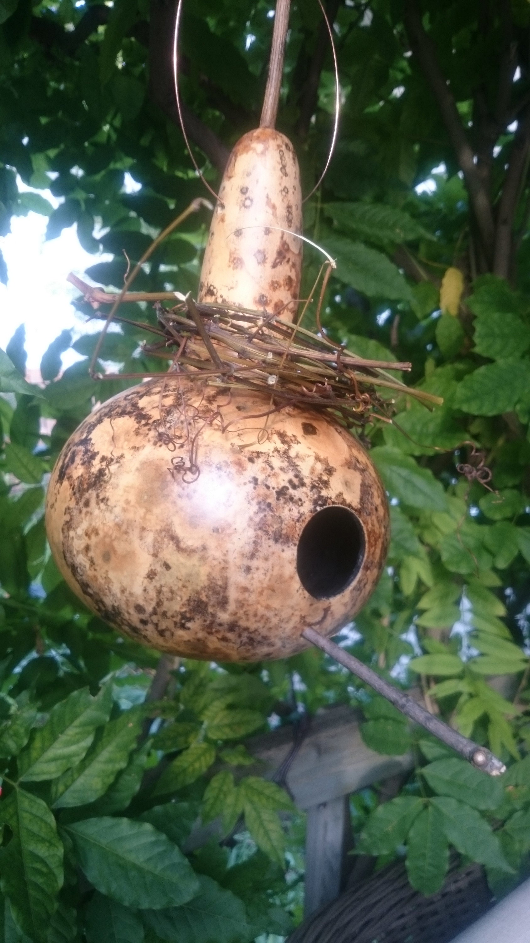 All Natural Gourd Birdhouse - Etsy
