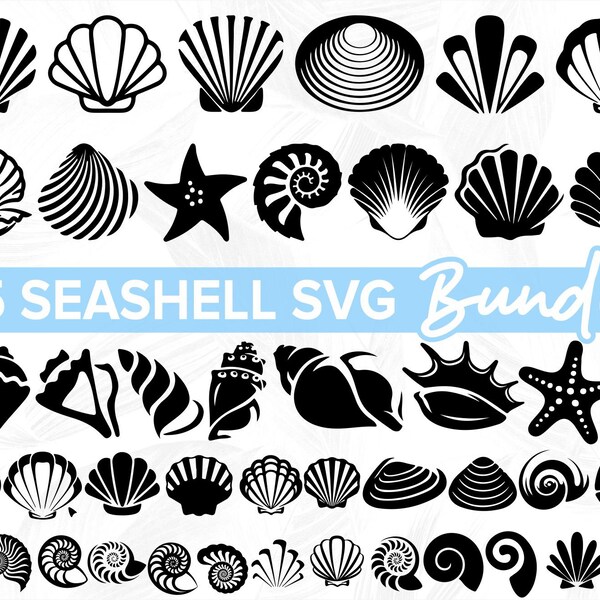 Seashells - Etsy