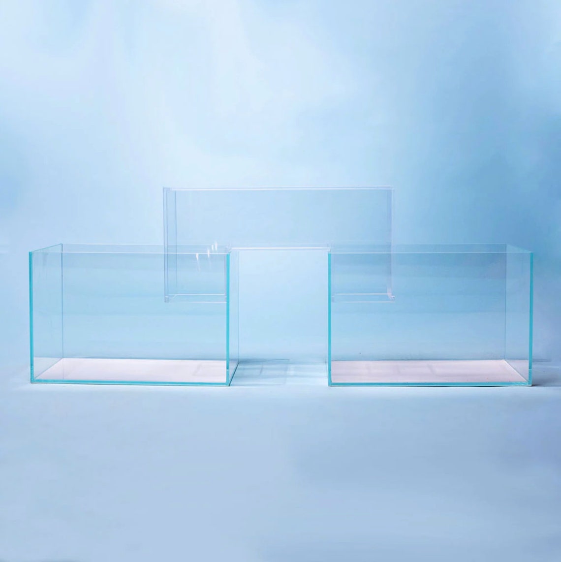 The Fish Bridge - Etsy