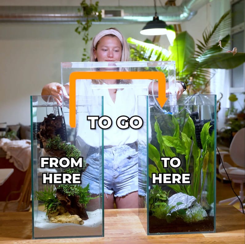 The Fish Bridge - Etsy