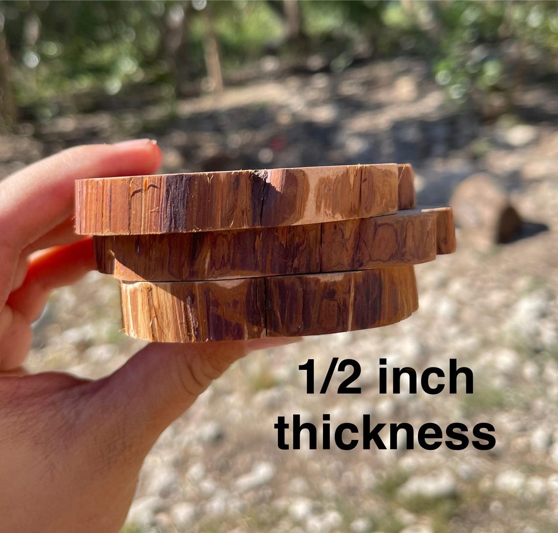 Cedar Rounds | Debarked Cedar Slices | Wooden Cookie Rounds | Wood ...