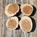 Cedar Rounds | Debarked Cedar Slices | Wooden Cookie Rounds | Wood ...
