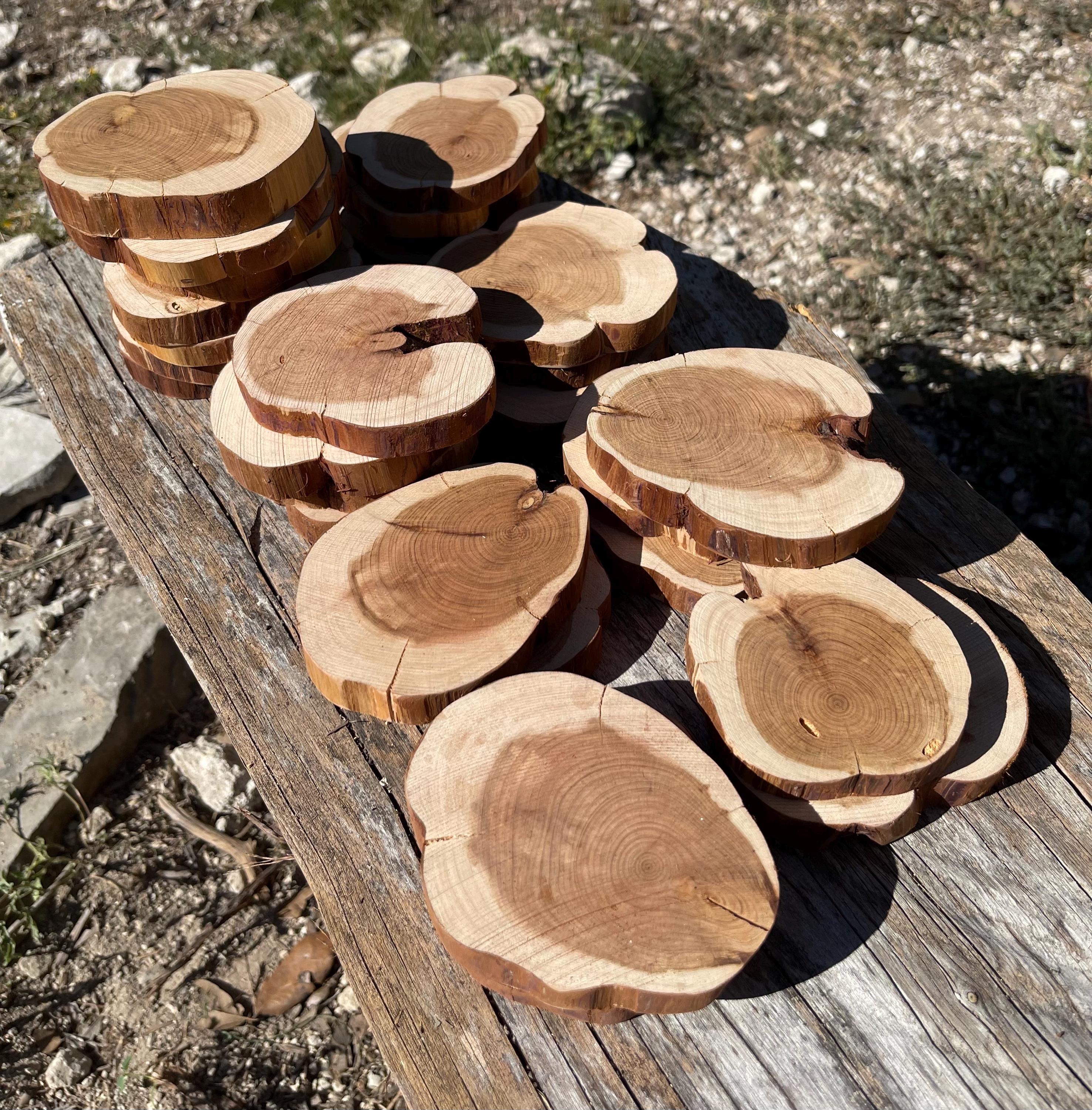 Cedar Rounds | Debarked Cedar Slices | Wooden Cookie Rounds | Wood ...