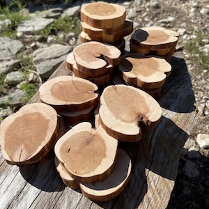 Cedar Rounds | Debarked Cedar Slices | Wooden Cookie Rounds | Wood ...