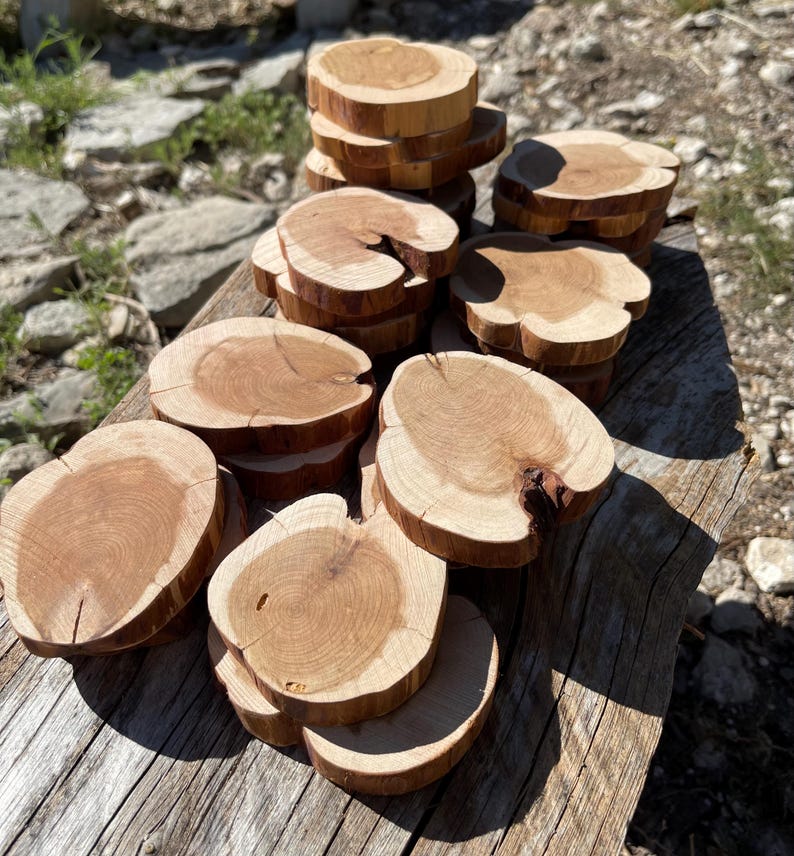 Cedar Rounds | Debarked Cedar Slices | Wooden Cookie Rounds | Wood ...