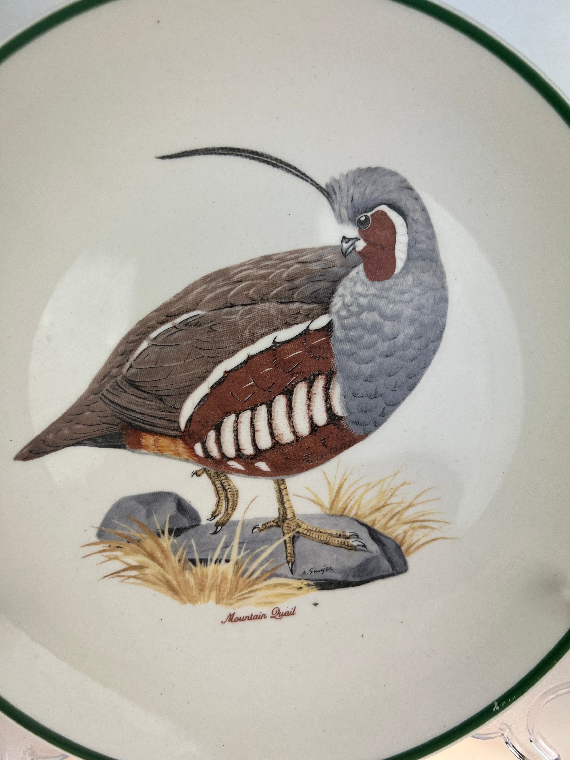 Mountain Quail Bird Upland Games Birds by Arthur Singer Vintage Plate ...