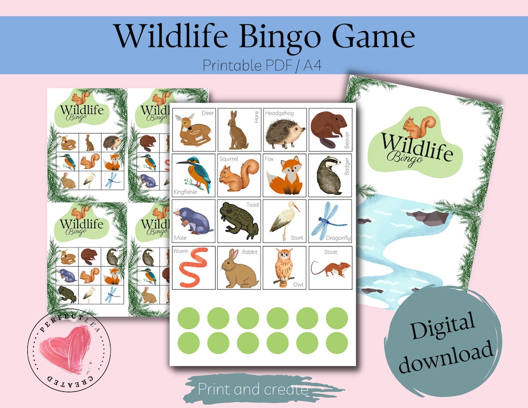 Wildlife Bingo Game Printable - Colourful UK Wildlife Bingo Cards ...