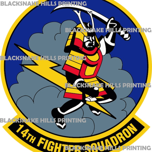 Squadron F 14 Patch - Etsy