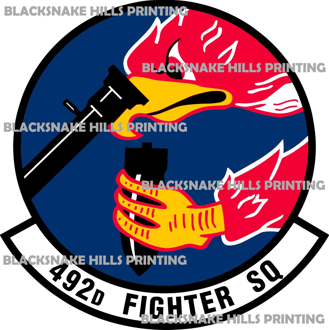 492d Fighter Squadron Patch Vector Image Files .ai .pdf - Etsy