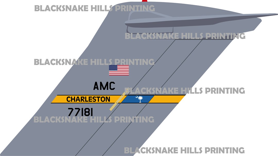 C-17 Tail Flash Vector Image Files Charleston AFB, SC .ai, .pdf, & .svg Formats Plus Rasters ...