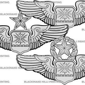 Air Force Navigator/cso Wings Vector Image Files .ai, .pdf, .eps ...