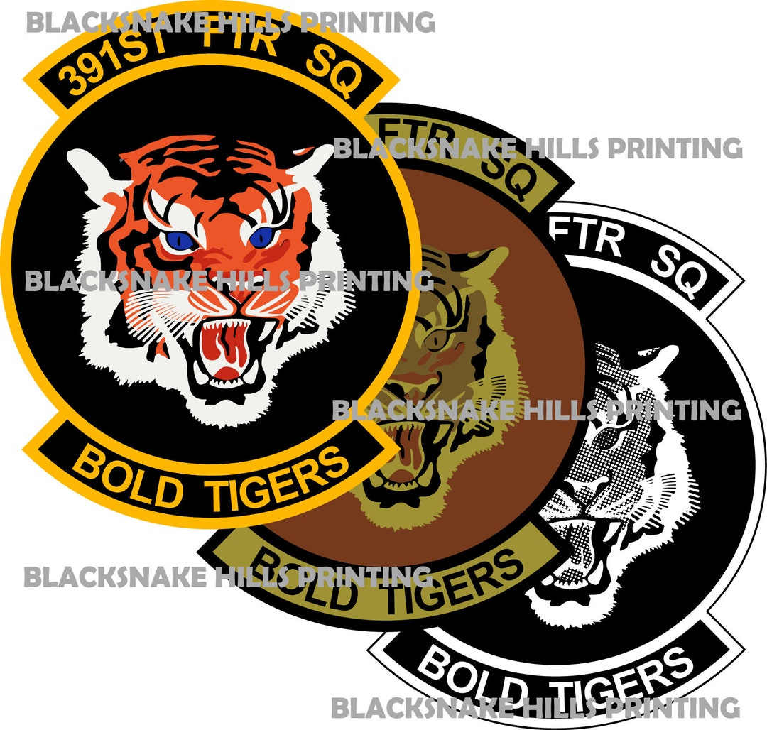 391st Fighter Squadron Patch Vector Image Files .ai .pdf - Etsy