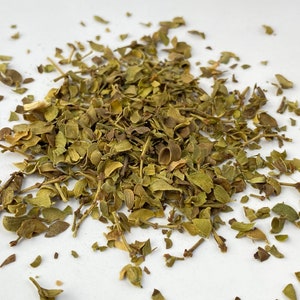 Chaparral Leaf | Larrea Tridentata | Creosote Bush Tea Detox Dried Herb ...