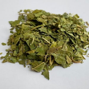 Gurmar Leaf | Gymnema Sylvestre | Dried Herb Natural Herbal Tea - Etsy