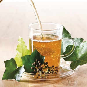 English Ivy Leaf Hedera Helix Dried Leaves Herb Herbal Tea - Etsy