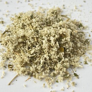 Polpala Dried Herb | Mountain Knotgrass | Aerva Lanata | Natural Herbal ...