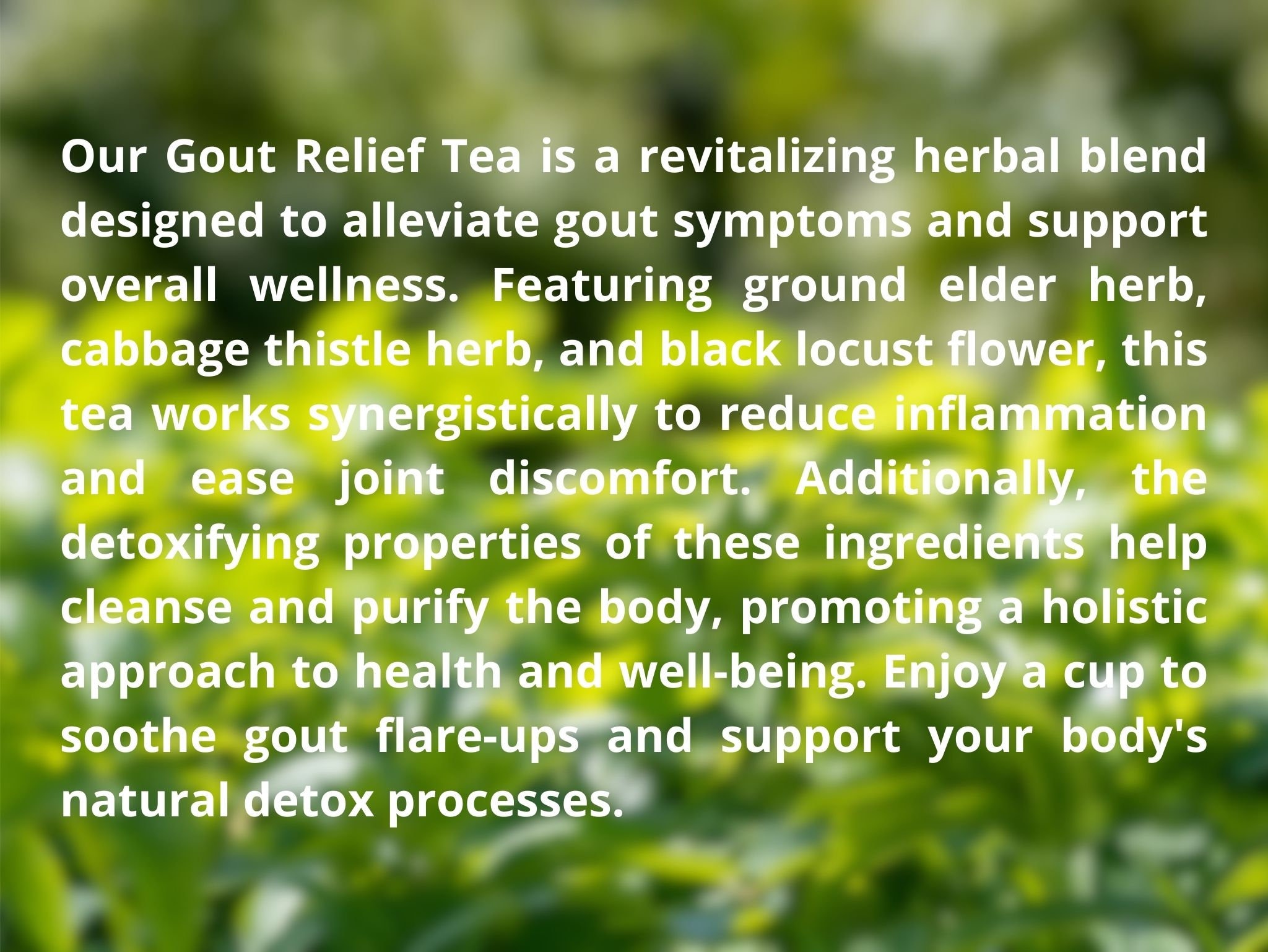Gout Relief Tea | Handcrafted Herbal Blend | Ground Elder, Cabbage ...