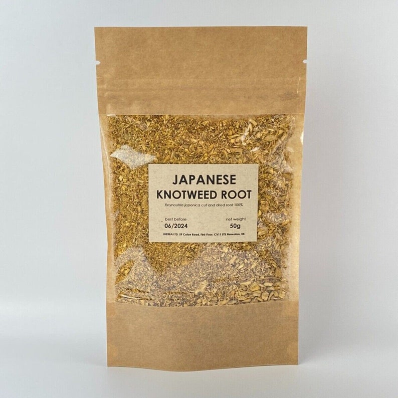 Japanese Knotweed Root Reynoutria Japonica Natural Herbal - Etsy