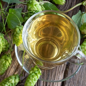 Hops Cone | Humulus Lupulus | Premium Quality Dried Hops Herbal Tea ...