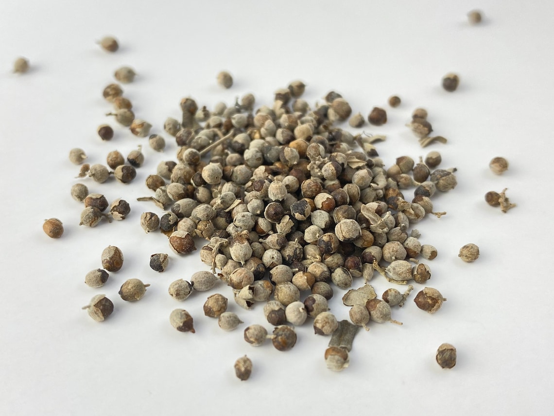 Dried Chasteberries | Vitex Agnus-castus | Chaste Tree Berries Fruits ...