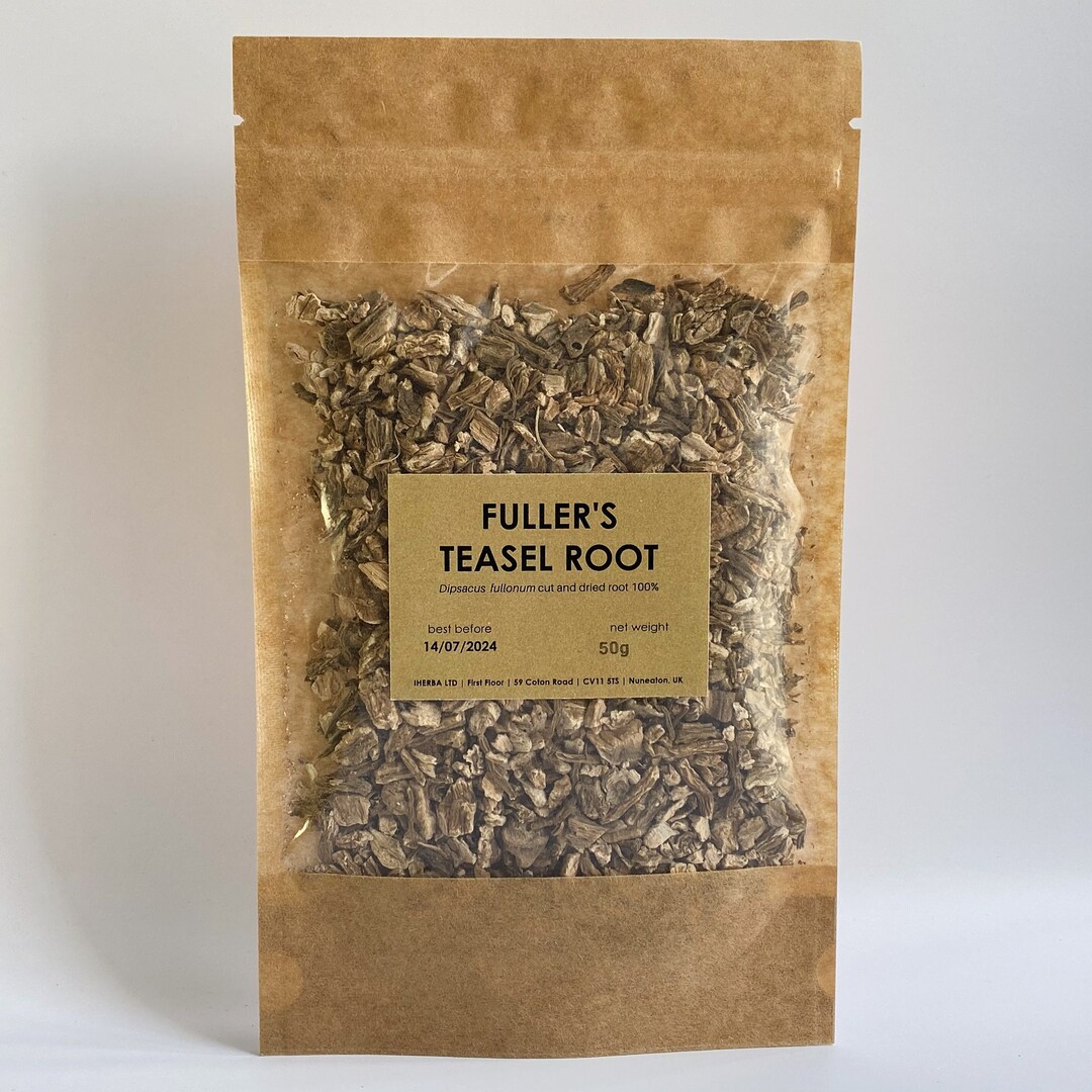 Fuller's Teasel Root Dipsacus Fullonum 100% Natural Herbal Tea Szczec ...