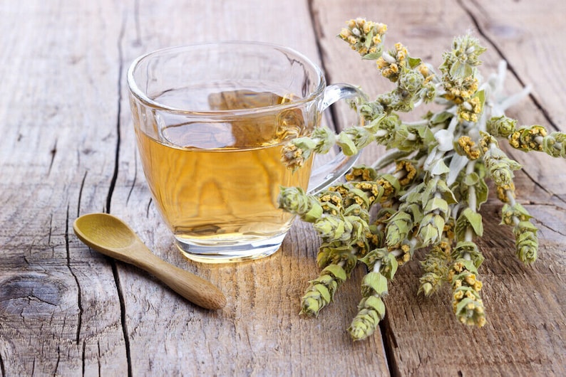 Greek Mountain Tea | Ironwort Shepherd's Tea | Sideritis Scardica ...