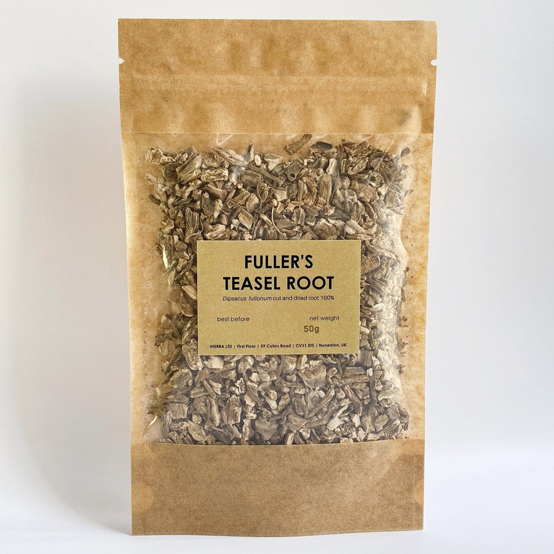 Fuller's Teasel Root Dipsacus Fullonum 100% Natural Herbal Tea Szczec ...