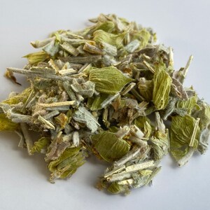 Greek Mountain Tea | Ironwort Shepherd's Tea | Sideritis Scardica ...