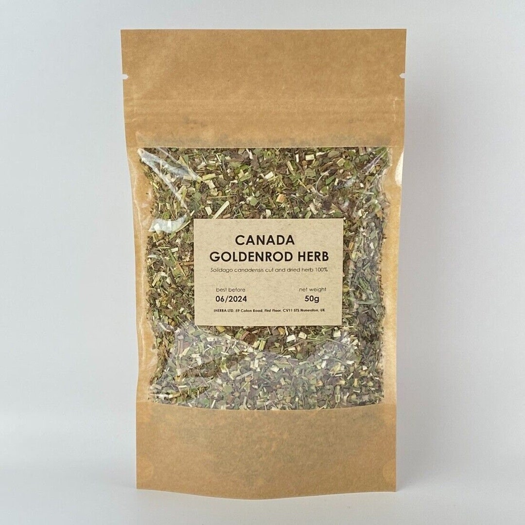 Canada Goldenrod Herb Solidago Canadensis Dried Golden Rod - Etsy