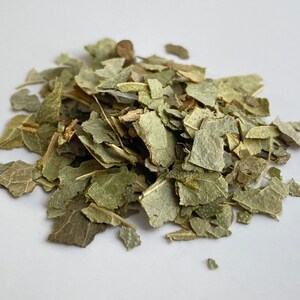 Boldo Leaf | Natural Herbal Tea | Peumus Boldus | Dried Loose Leaf Tea ...