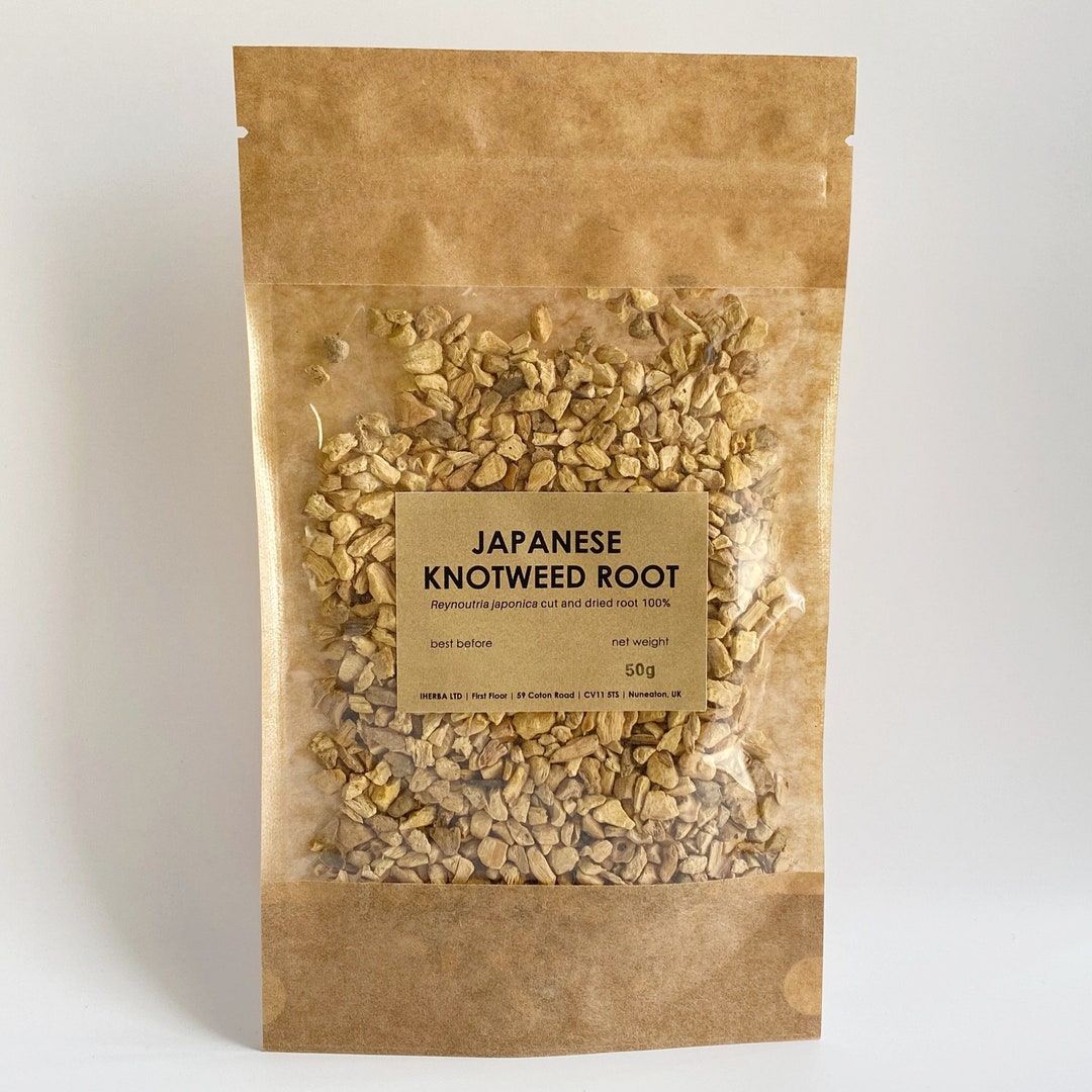 Japanese Knotweed Root | Reynoutria Japonica | Natural Herbal Tea ...