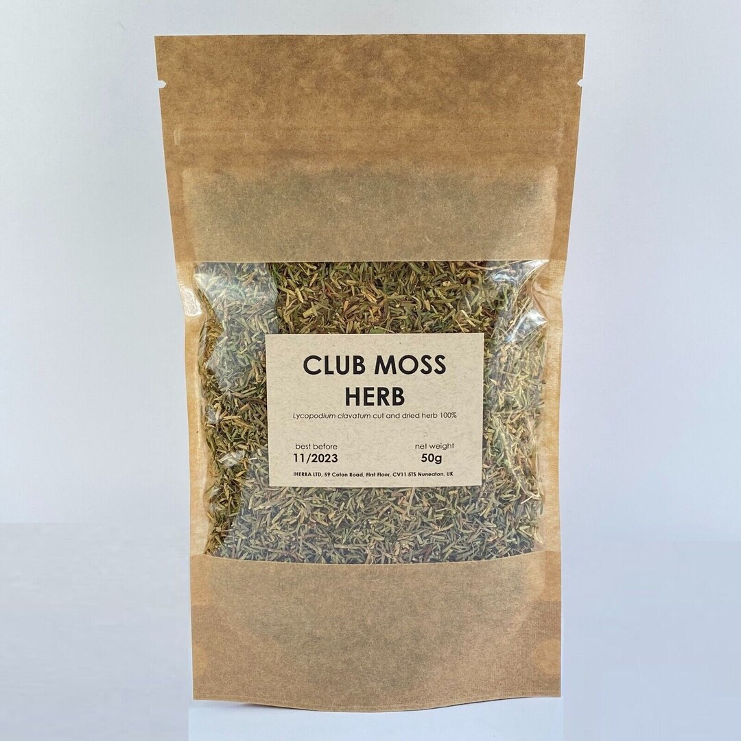 Club Moss Herb Lycopodium Clavatum Dried Natural Herbal Tea Widlak - Etsy