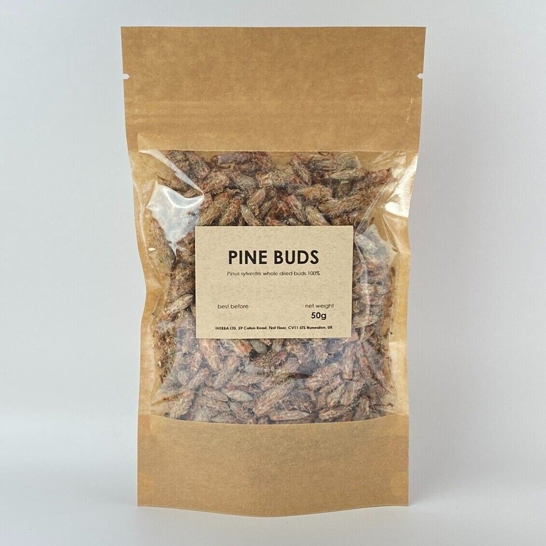 Pine Buds | Pinus Sylvestris | 100% Natural Herbal Tea Immunity Booster ...