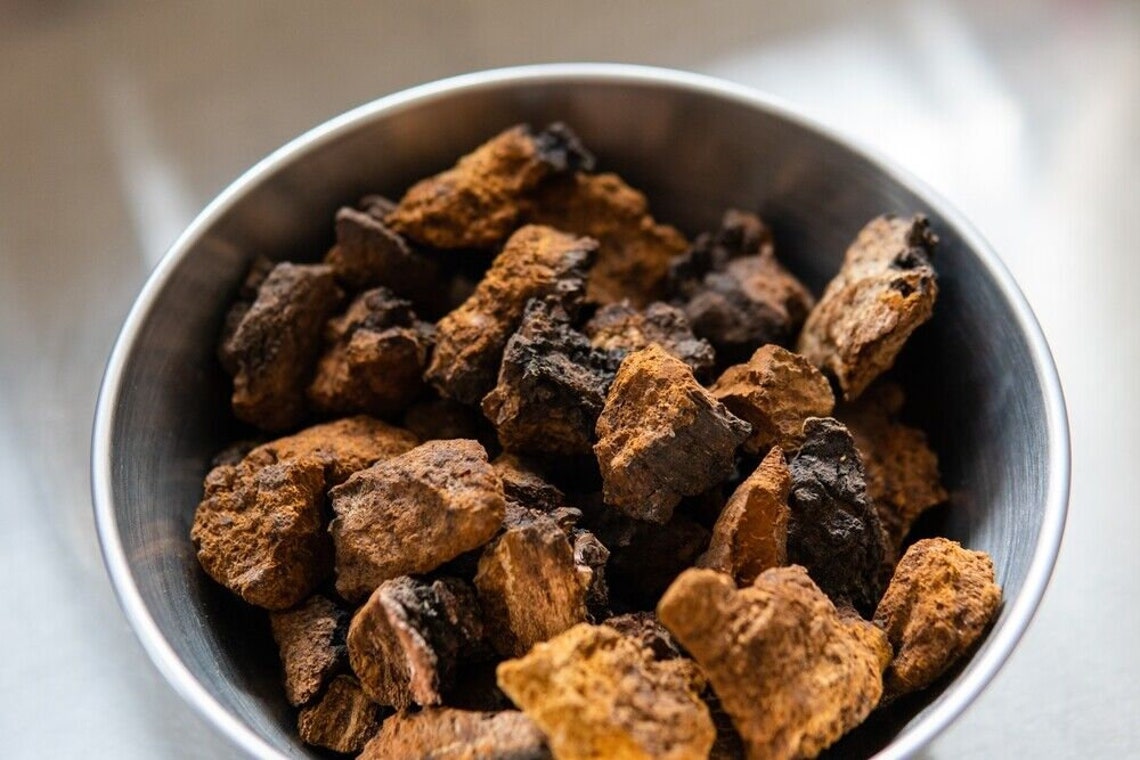 Wild Chaga Mushroom Chunks Inonotus Obliquus Natural - Etsy