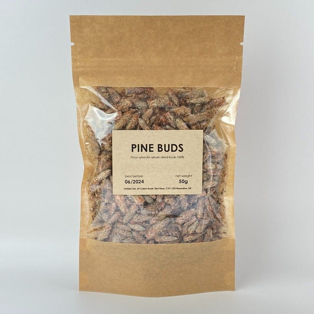 Pine Buds Pinus Sylvestris 100% Natural Herbal Tea Immunity Booster ...
