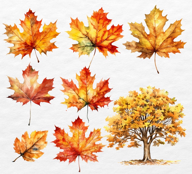 Fall Leaves and Trees Clipart fall Leaves Watercolor Png Fall Png, Pile ...