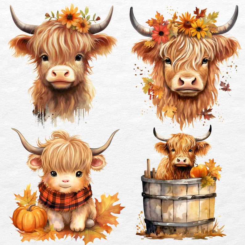 Fall Highland Cow Png Clipart Bundle Cute Baby Highland Cow - Etsy Canada