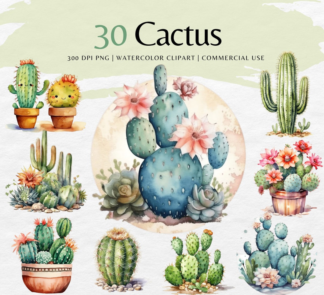 Cactus Watercolor Clipart Bundle | Desert Cacti Png | Instant Download ...