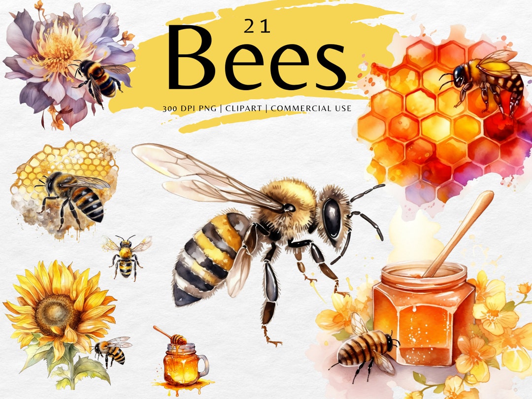 Bees Watercolor Clip Art Bundle | PNG Honey Bee on Sunflower, Honeycomb ...