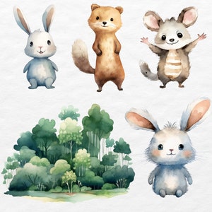 Watercolor Woodland Animals Clipart: 40 PNG Nursery Graphics ...