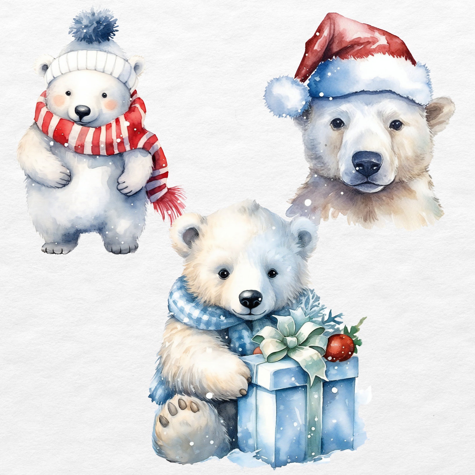 Christmas Polar Bear Watercolor Clipart | Holiday PNG (commercial Use ...