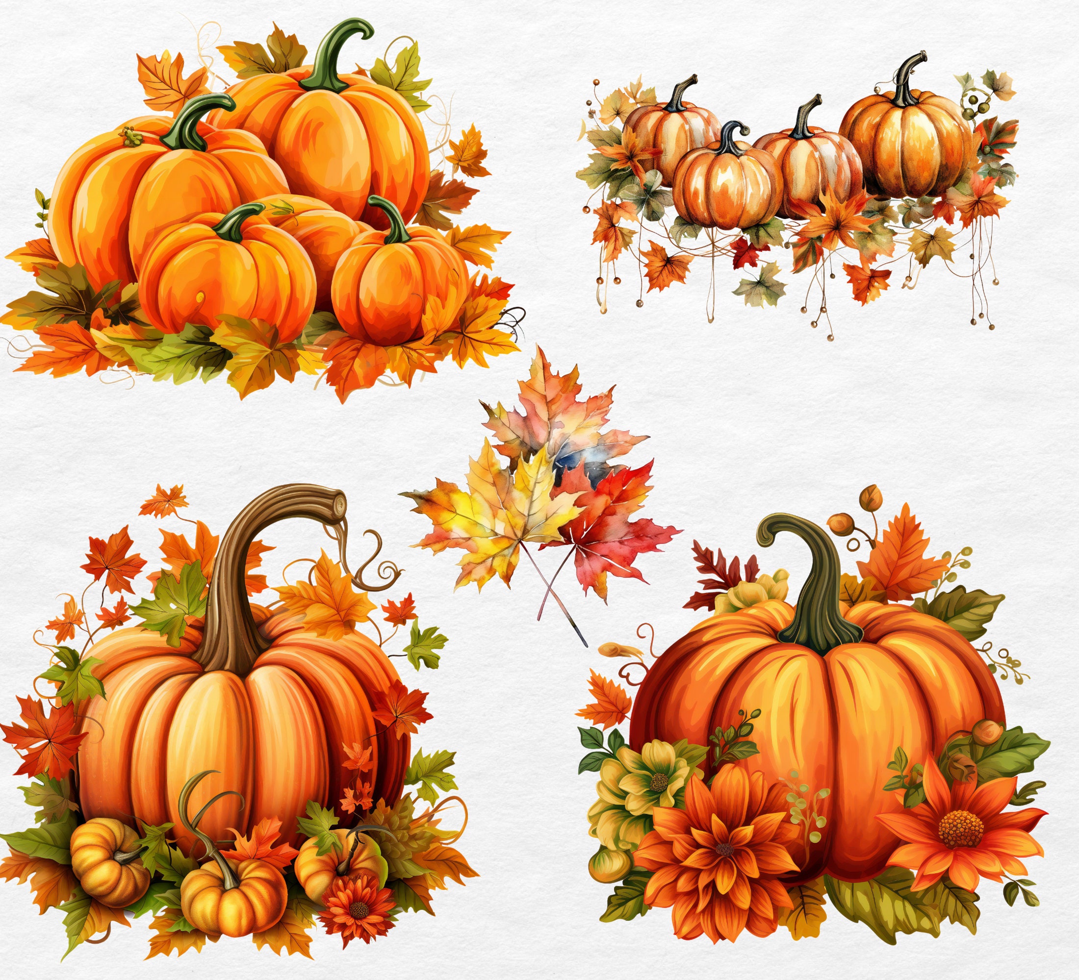Watercolor Pumpkin Clipart: Fall Leaves PNG Bundle (digital Download ...