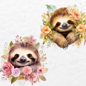 Watercolor Sloth Clipart Bundle With Flowers Png, Digital Download ...
