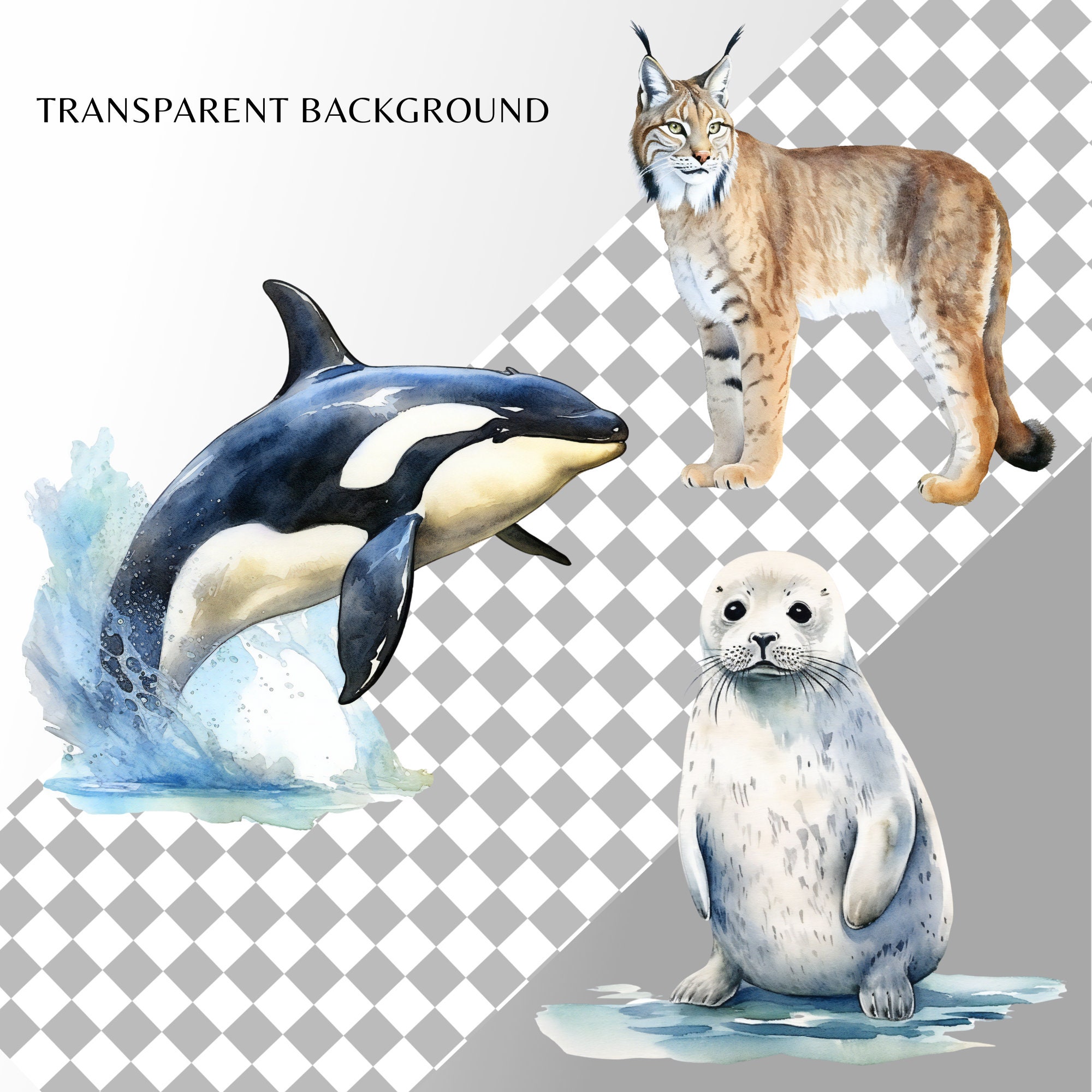 Watercolor Arctic Animals Clipart Bundle: 20 PNG Images (commercial Use ...