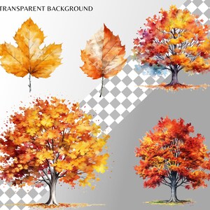 Fall Leaves and Trees Clipart |fall Leaves Watercolor Png | Fall Png ...