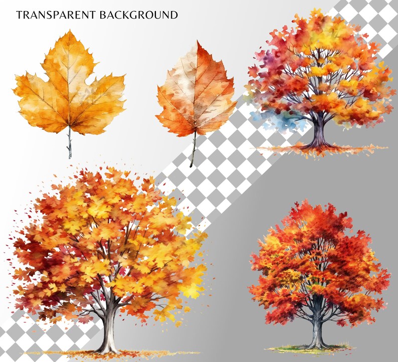 Fall Leaves and Trees Clipart fall Leaves Watercolor Png Fall Png, Pile ...