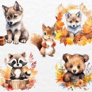Fall Woodland Baby Animals Watercolor Clipart |fall Png | Nursery Decor ...