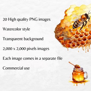 Bees Watercolor Clip Art Bundle | PNG Honey Bee on Sunflower, Honeycomb ...